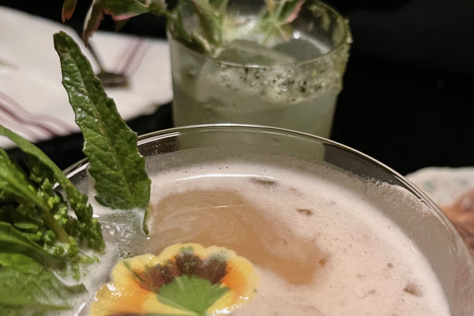 Running with the Pack - The Wolves Bar ReOpens in the Historic Core