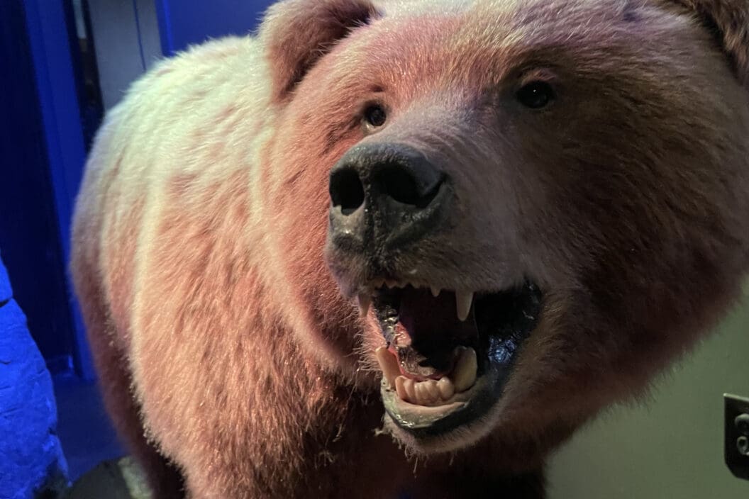 VIP NYE 2022 at Clifton’s Republic - Postponed