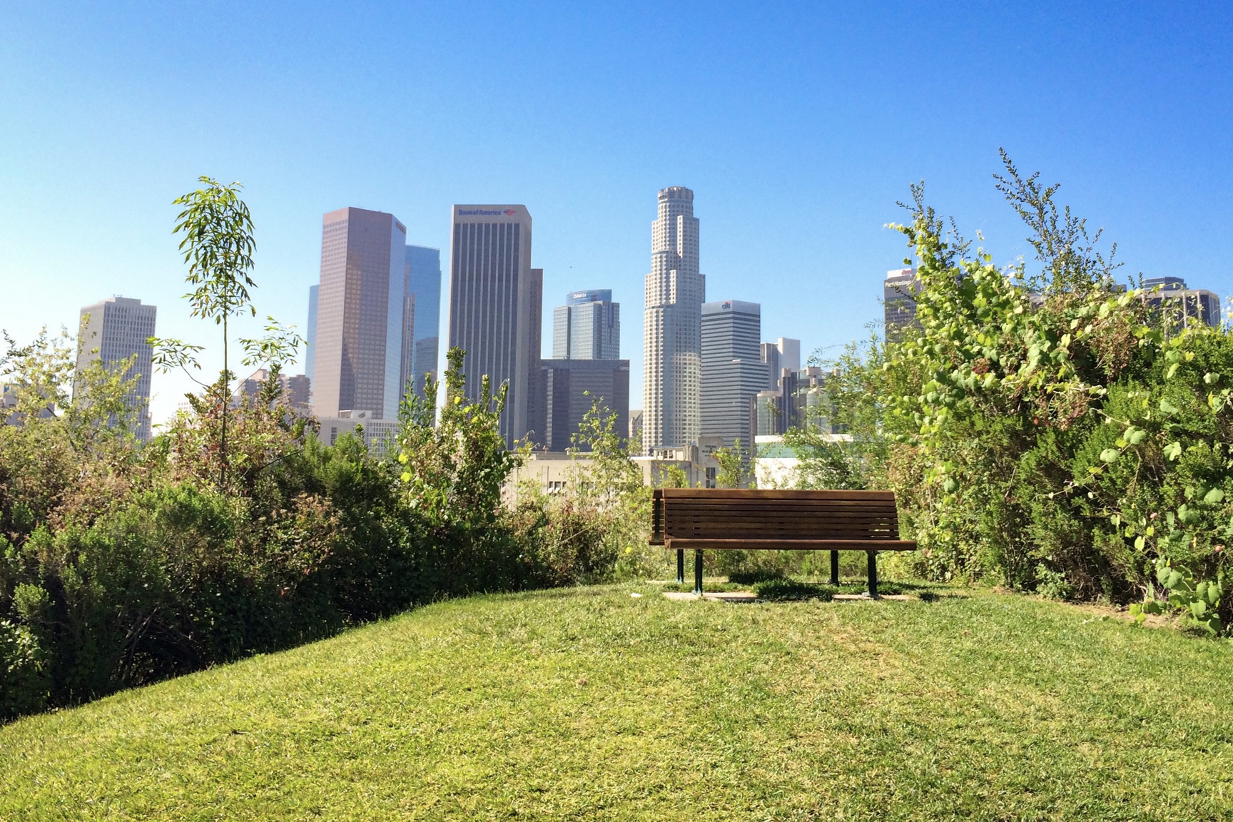 DTLA Masterminds: Samir Bitar of DTLA Taxes